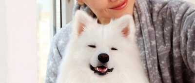 Danny & Ron's Rescue