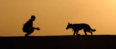 Danny & Ron's Rescue