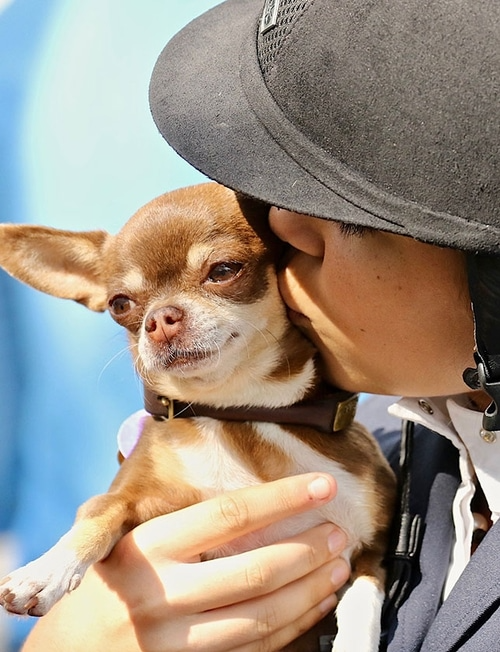 Danny & Ron's Rescue